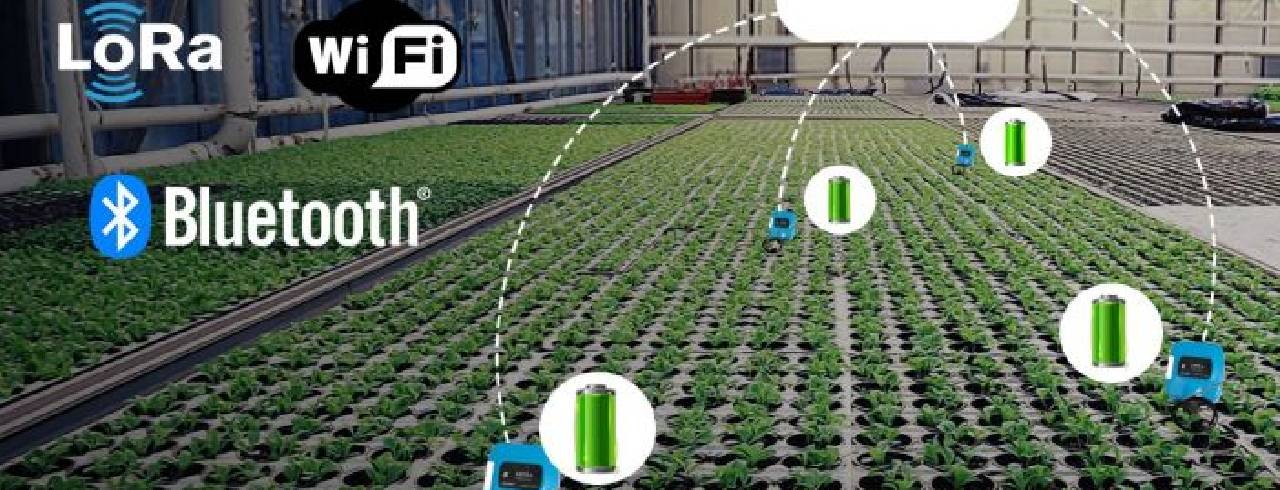 IoT Wireless Modules | Connectivity Modules